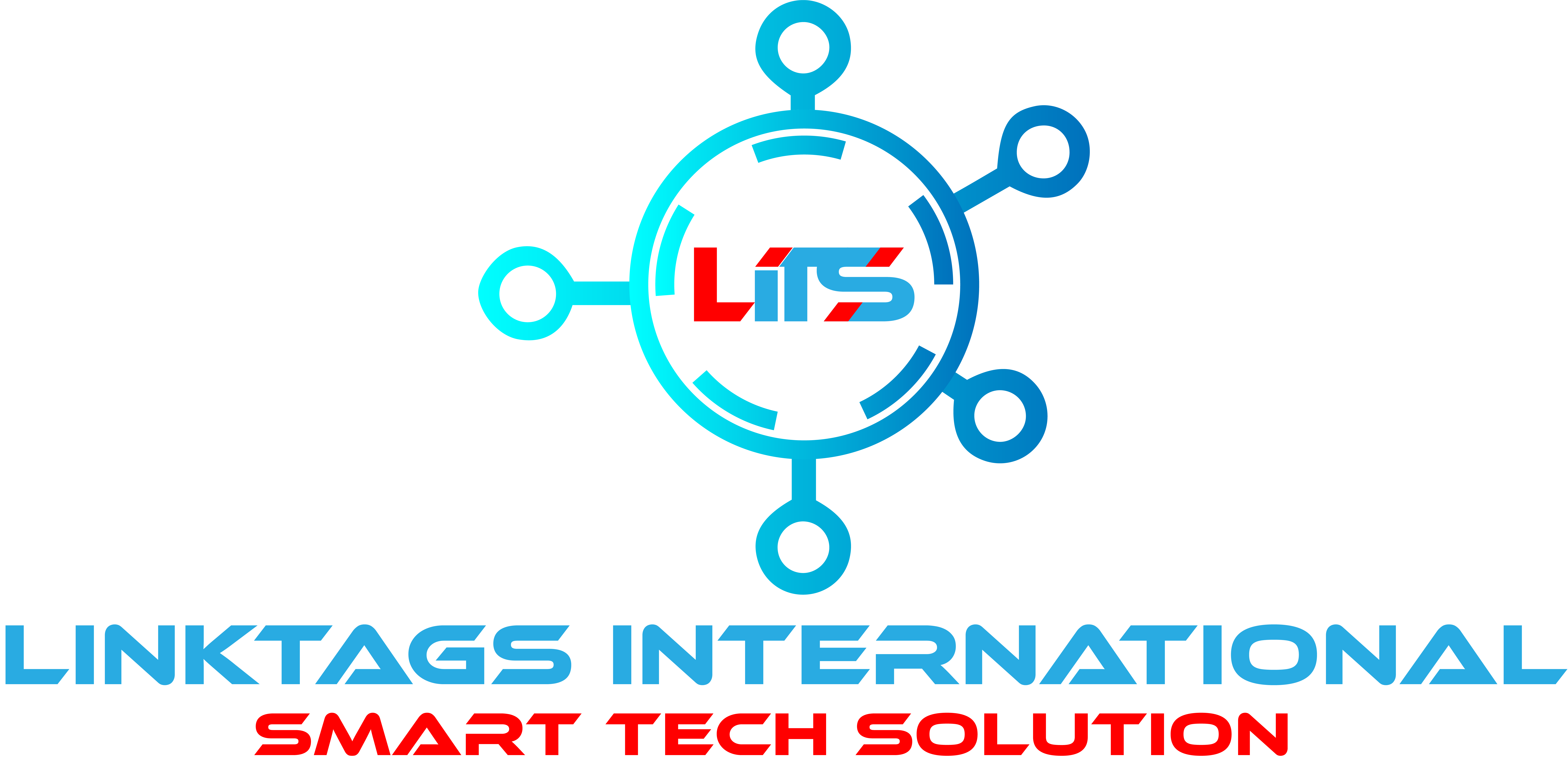 Linktags international technology solution limited – leading ICT firm
